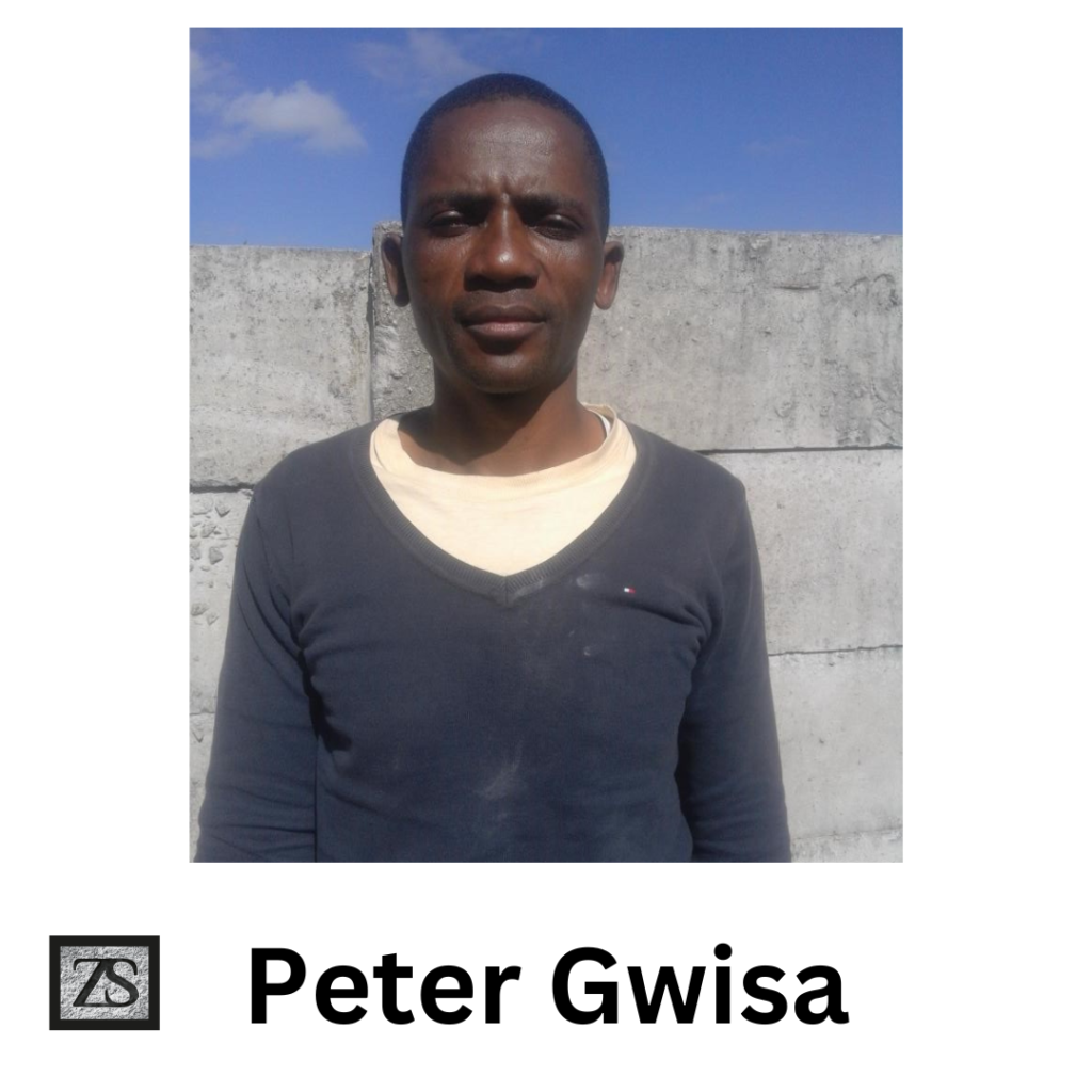Peter Gwisa - ZimSculpt