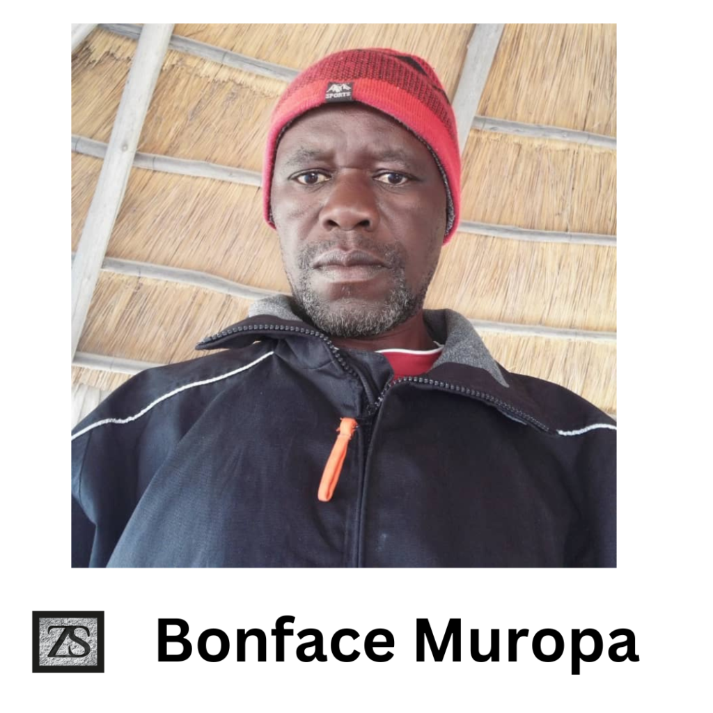 Artists Archive - ZimSculpt